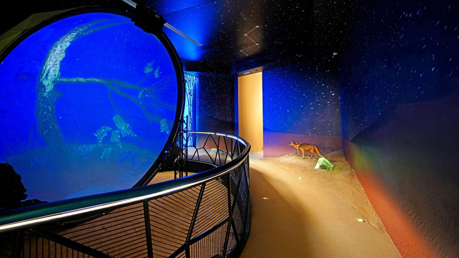 How to visit the UAE Desert Conservation Reserve?